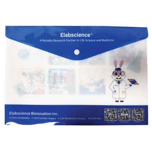 Elabscience A4 Button Folder